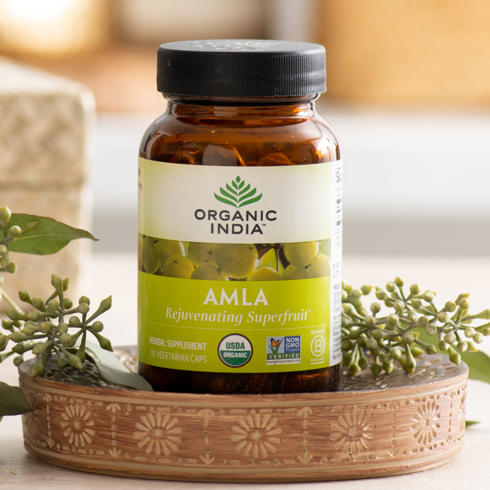 Amla Indian Gooseberry Fruit Supplement | Organic India – Organic India USA