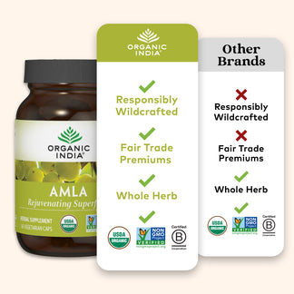 Amla Indian Gooseberry Fruit Supplement | Organic India – Organic India USA