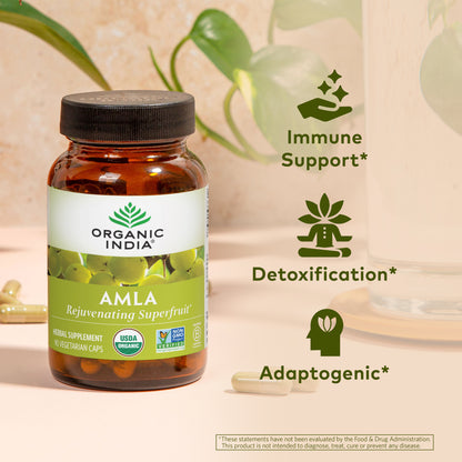 Amla Indian Gooseberry Fruit Supplement | Organic India – Organic India USA