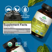 Amla Indian Gooseberry Fruit Supplement | Organic India – Organic India USA