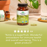 Amla Indian Gooseberry Fruit Supplement | Organic India – Organic India USA