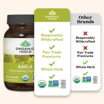 Amla Indian Gooseberry Fruit Supplement | Organic India – Organic India USA