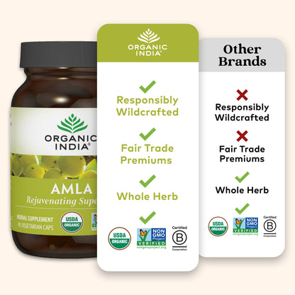 Amla Indian Gooseberry Fruit Supplement | Organic India – Organic India USA