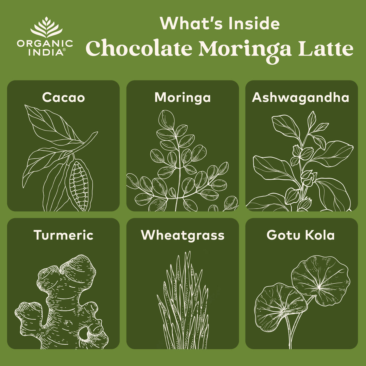 Organic Chocolate Moringa Latte – Organic India USA