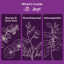Joy! Herbal Pill Supplement | Organic India – Organic India USA