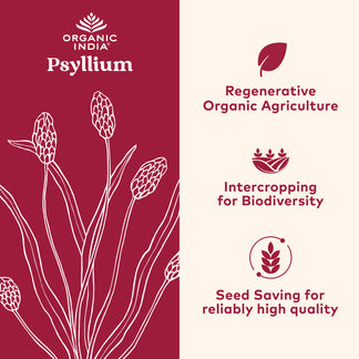 Whole Husk Psyllium Supplement | Organic India – Organic India USA