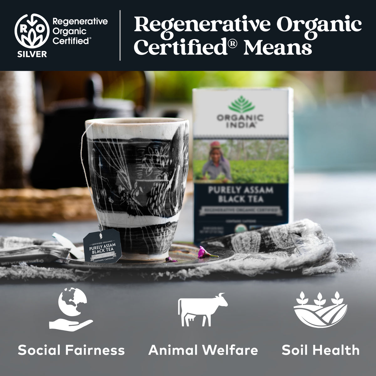 Purely Assam Black Tea – Organic India USA