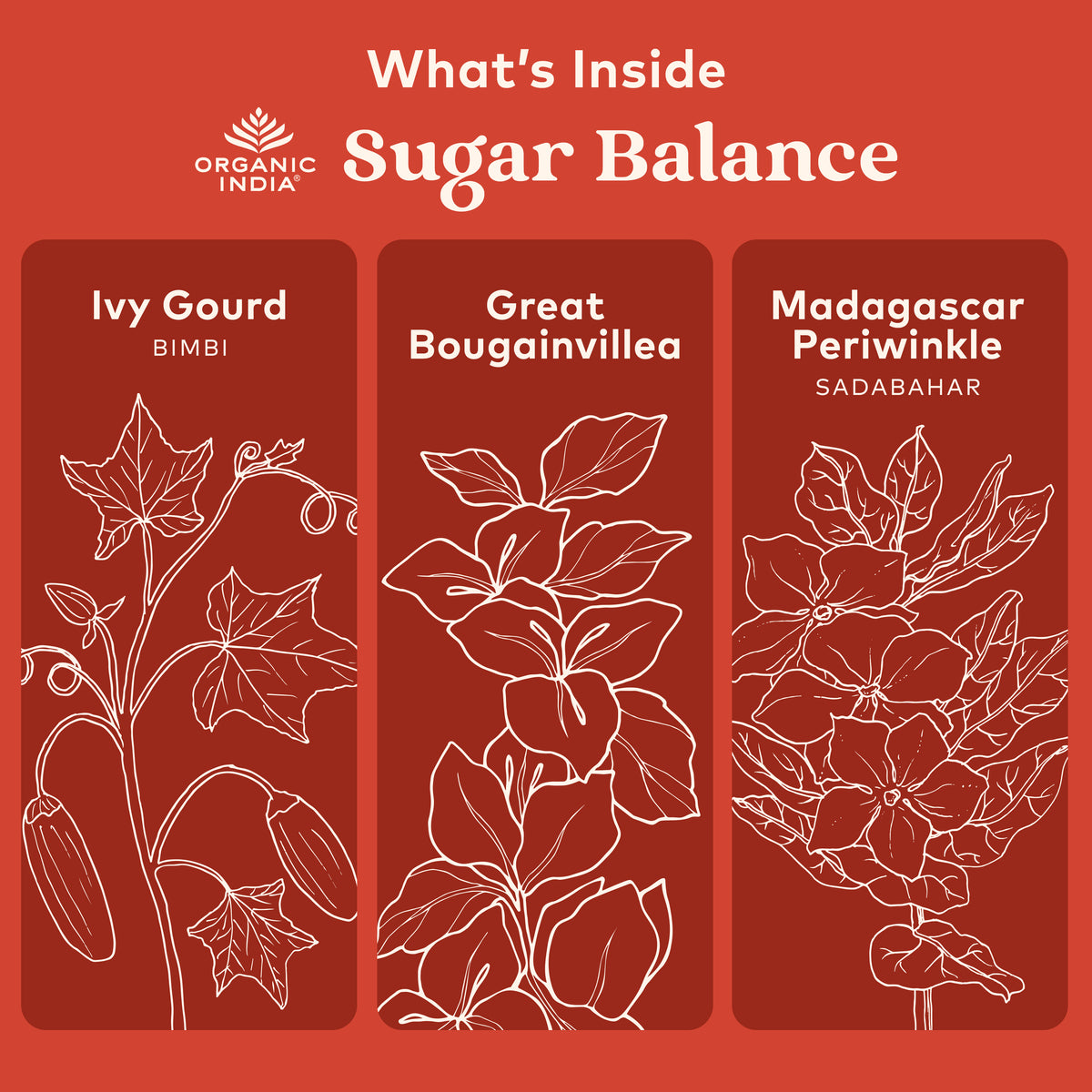 Sugar Balance Capsules – Organic India USA