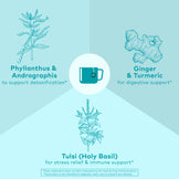 Tulsi Cleanse Tea | Organic India – Organic India USA