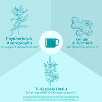 Tulsi Cleanse Tea | Organic India – Organic India USA