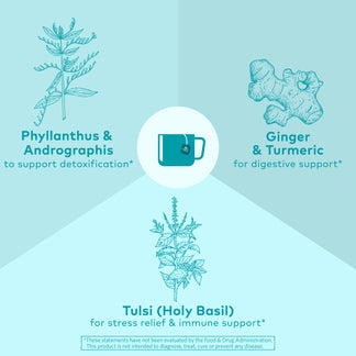 Tulsi Cleanse Tea | Organic India – Organic India USA