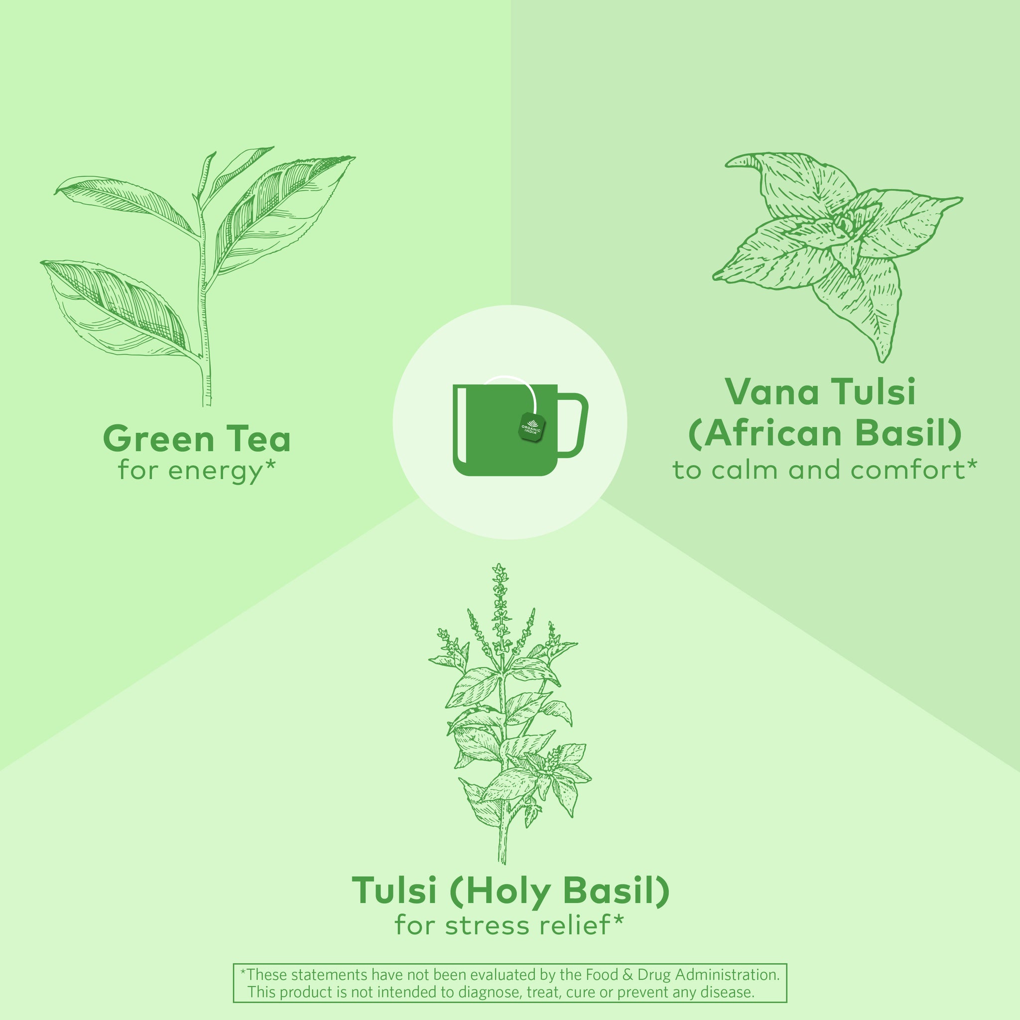 Organic Tulsi Holy Basil Green Tea Blend | Organic India – Organic ...