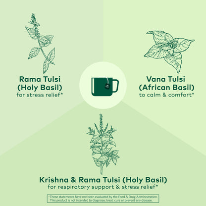Tulsi Original Tea | Organic India – Organic India USA