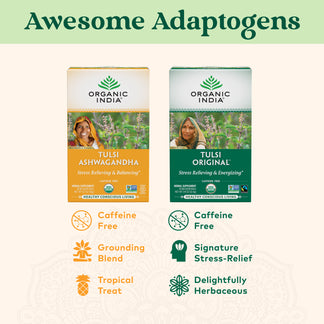 Tulsi Original Tea | Organic India – Organic India USA