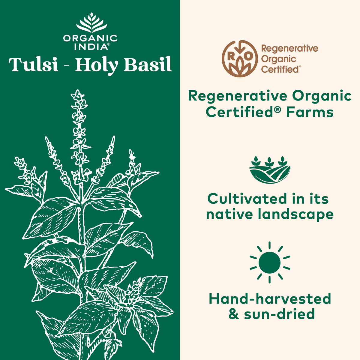 Fairtrade® Certified Organic Tulsi (Holy Basil) Herbal Supplement ...