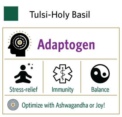 Tulsi Holy Basil Supplement Capsules | ORGANIC INDIA – Organic India USA